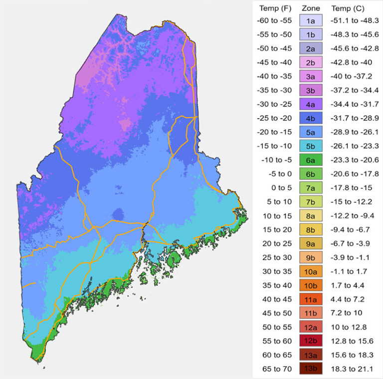 Hearty Plants and Trees for Maine Winters - Davis Landscape